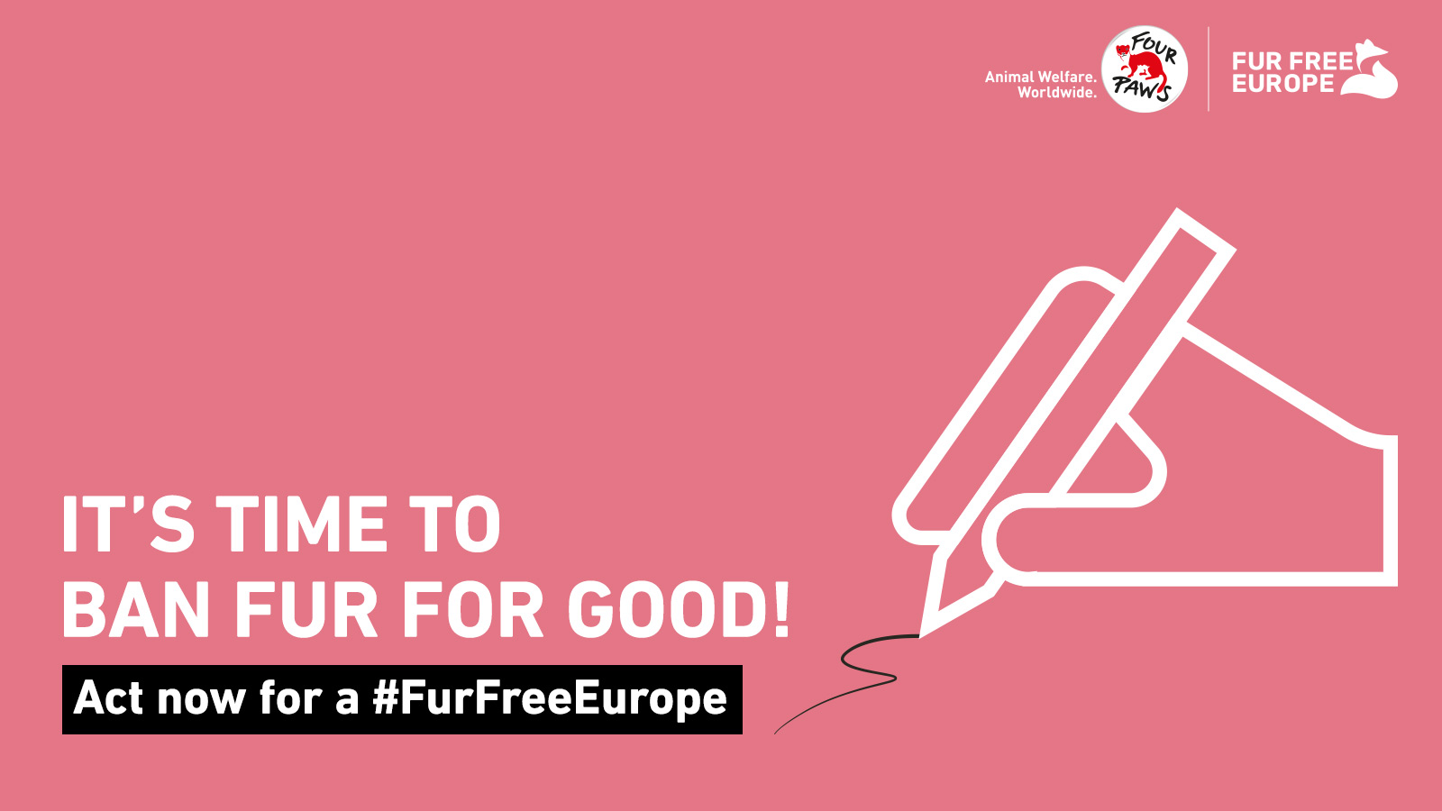 FOUR PAWS International - Animal Welfare Organisation | FOUR PAWS ...